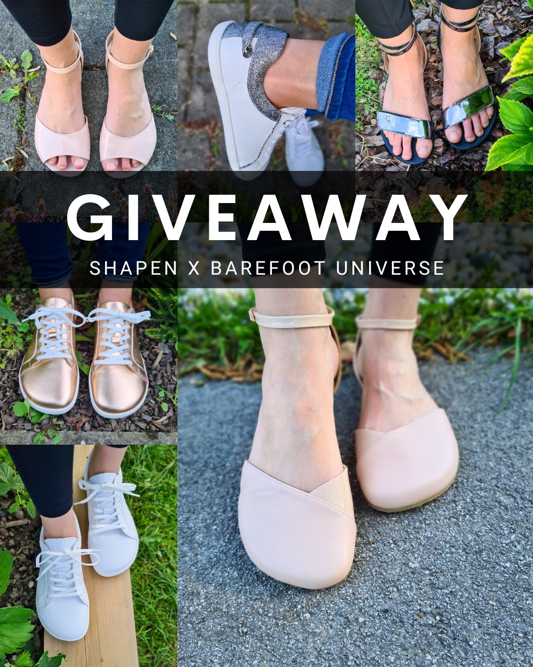 COURSES | Barefoot Universe