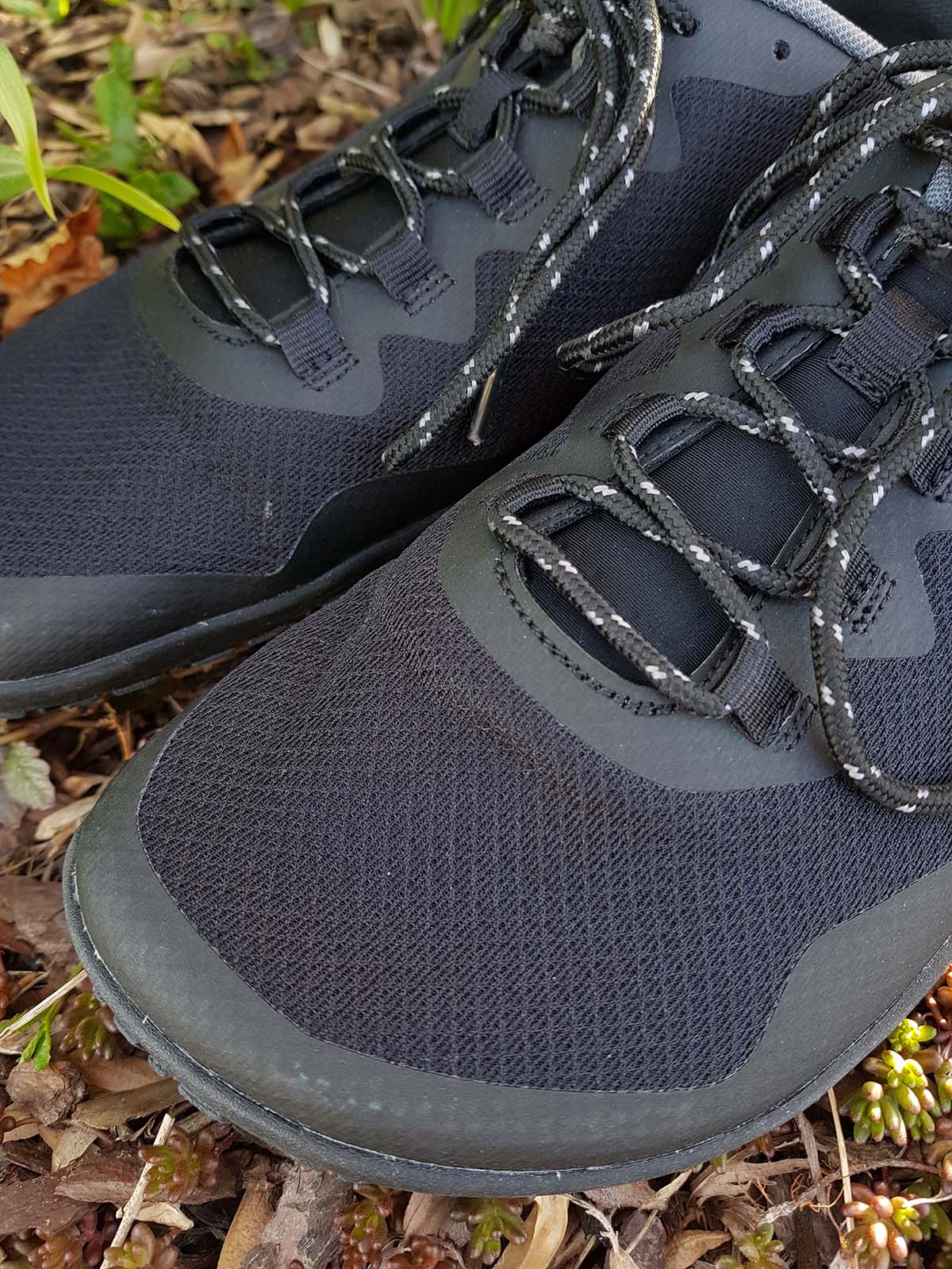 Freet - Brand Review | Barefoot Universe