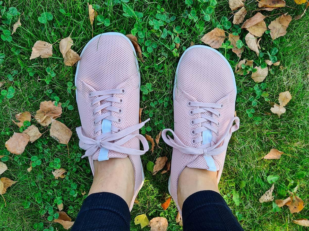 Feelgrounds Original - Review - Barefoot Universe