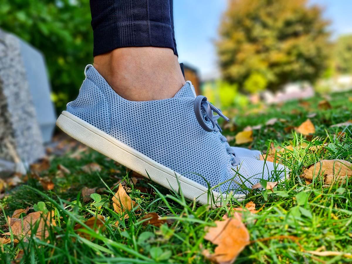 Feelgrounds Original - Review - Barefoot Universe