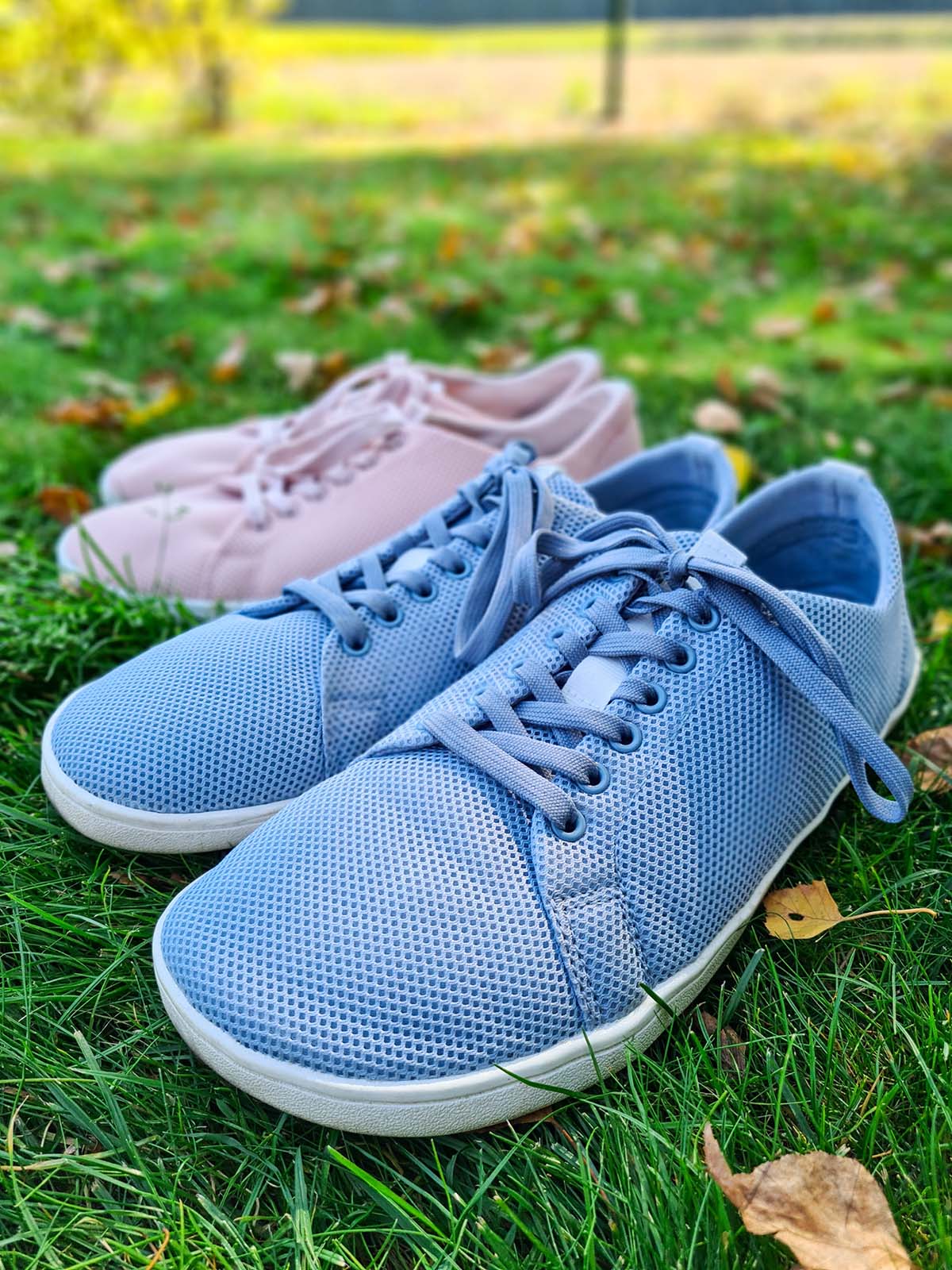 Feelgrounds Original - Review - Barefoot Universe