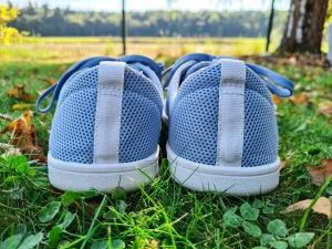 Feelgrounds Original - Review - Barefoot Universe