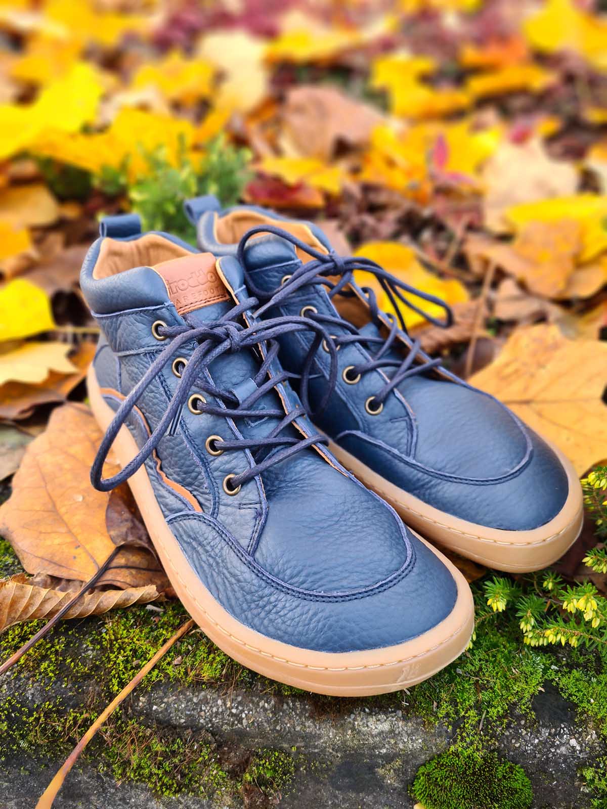 Froddo - Brand Review - Barefoot Universe