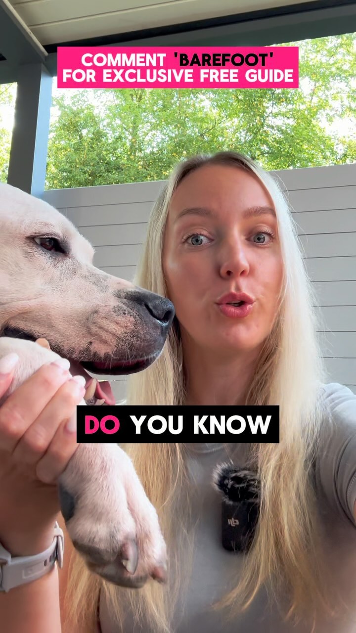 A GUIDE TO BAREFOOT SHOES - Barefoot Universe