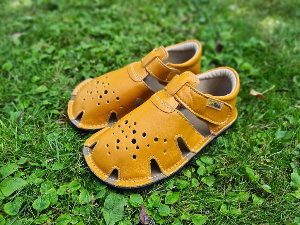 Linktree - Barefoot Universe