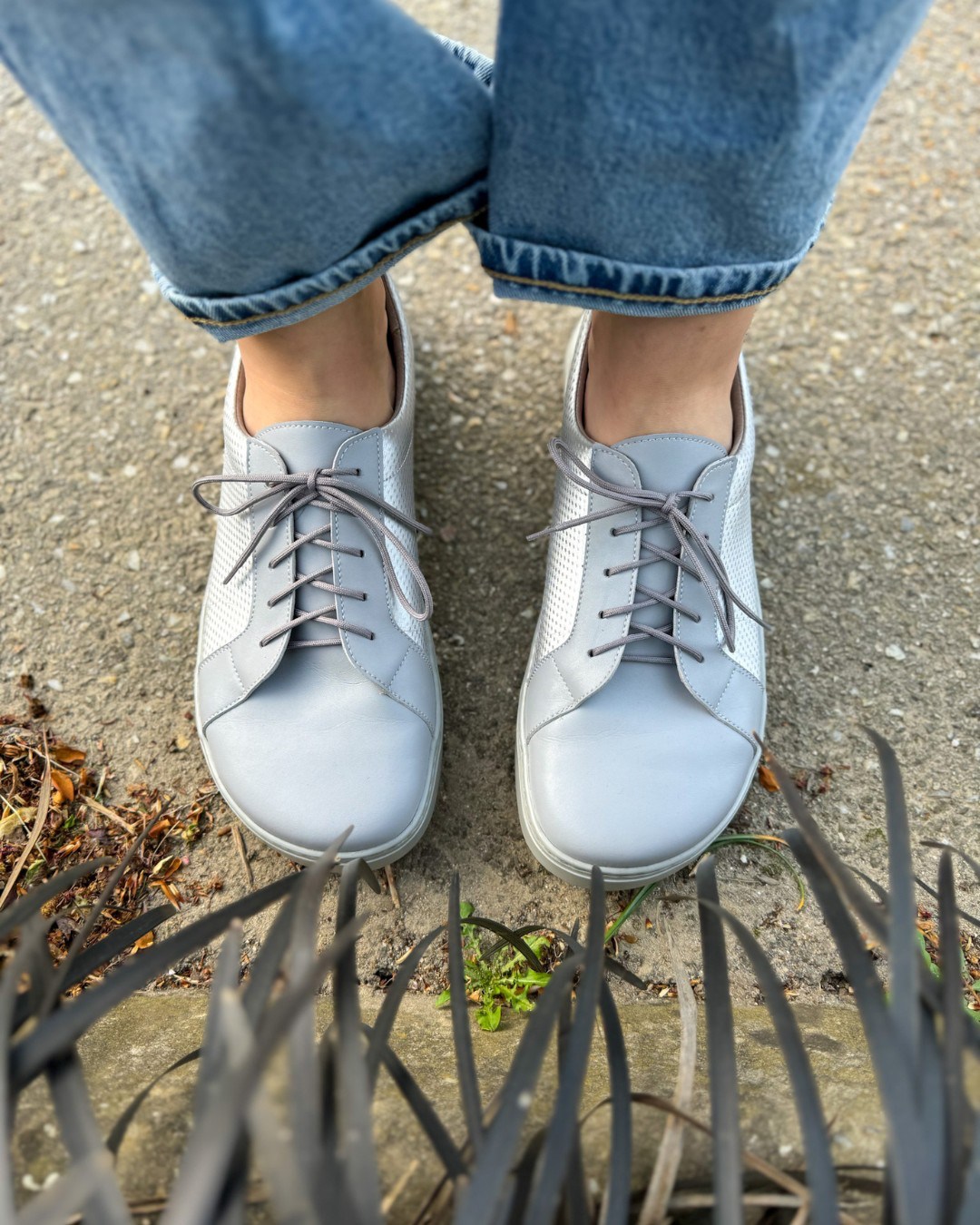 COURSES | Barefoot Universe